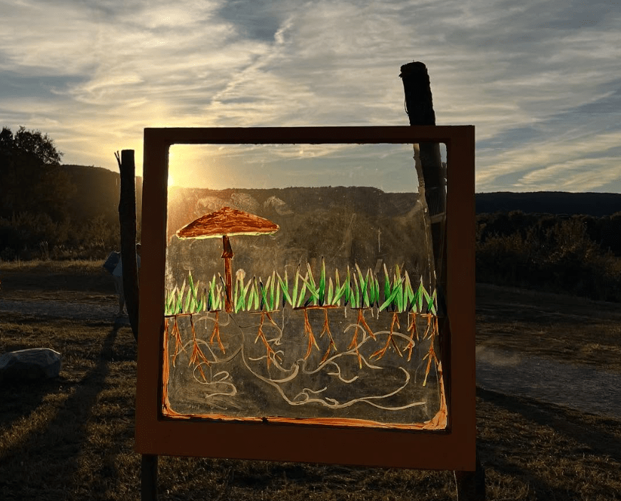 The Summer that Never Ends! – Collar City Mushrooms